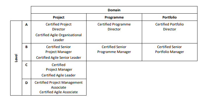International Professional Evaluation and Certification
